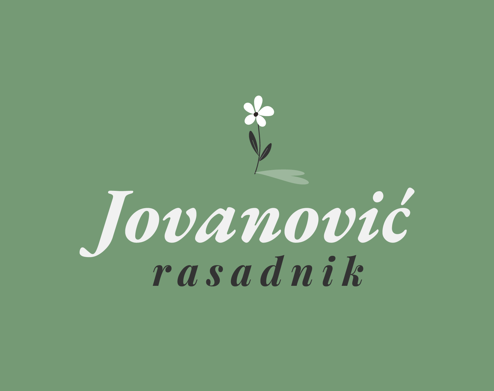 Milos Avramovic Graphic Designer